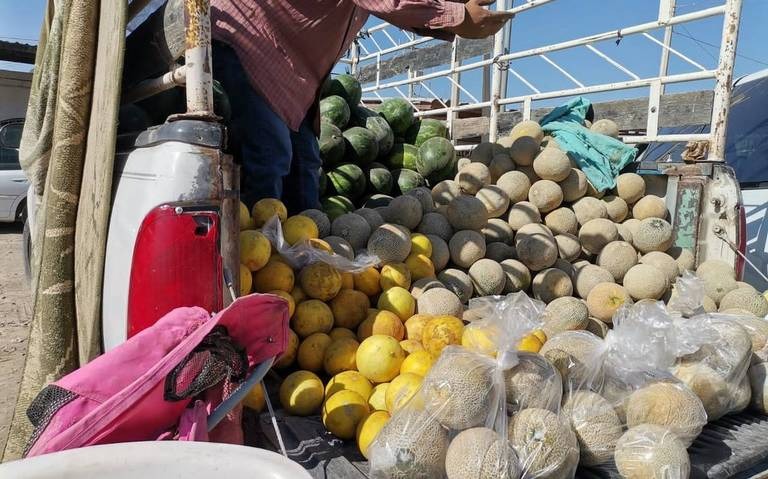 Sigue siendo La Laguna el mejor productor de melón de México ...